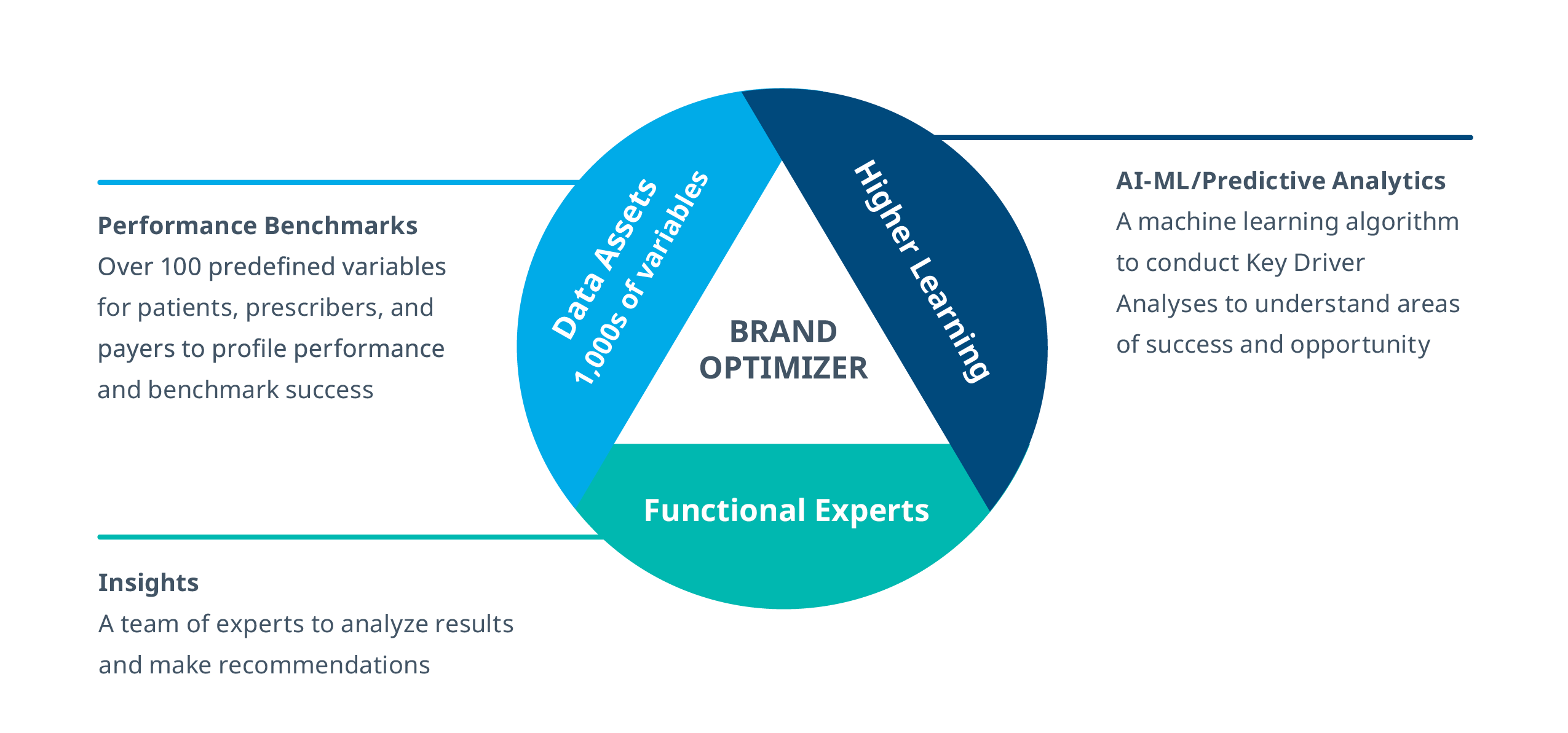 Brand Optimizer will help pinpoint new opportunities for your brand